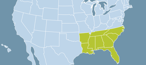 SEB Tile Image | Certification - Entomological Society of America