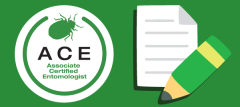 ACE Application Image | Certification - Entomological Society of America